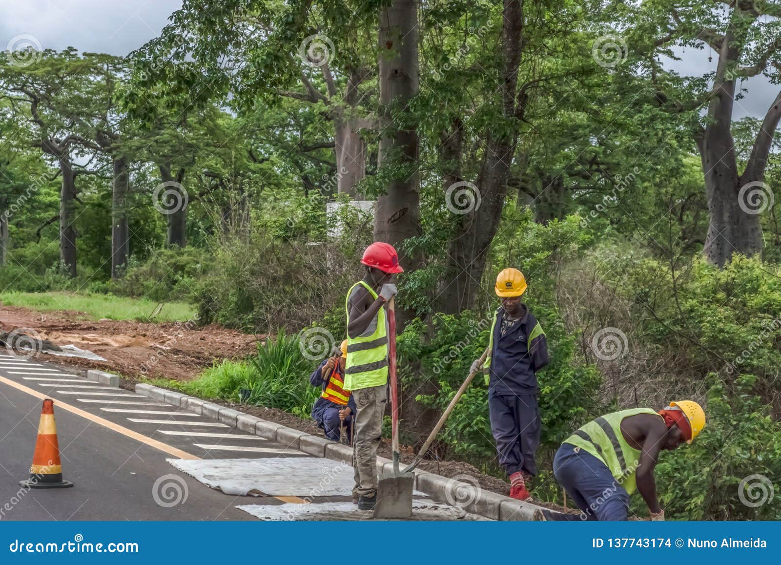 View of Construction Workers Working on Roadside Roads, Baobab Forest ...