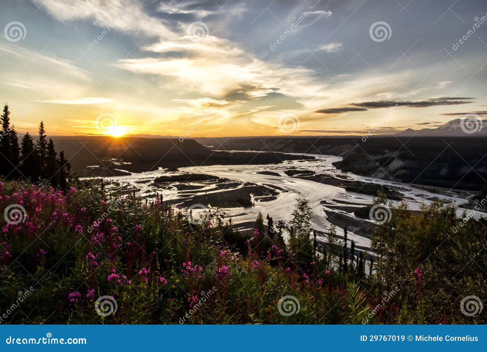 Copper River at Sunset stock image. Image of wildflowers - 29767019
