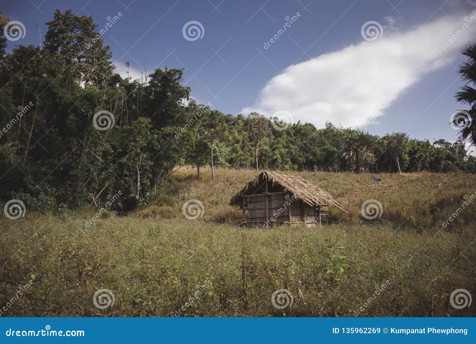 View of Country Farmer Straw Hut and Meadow in Forest Stock Image ...
