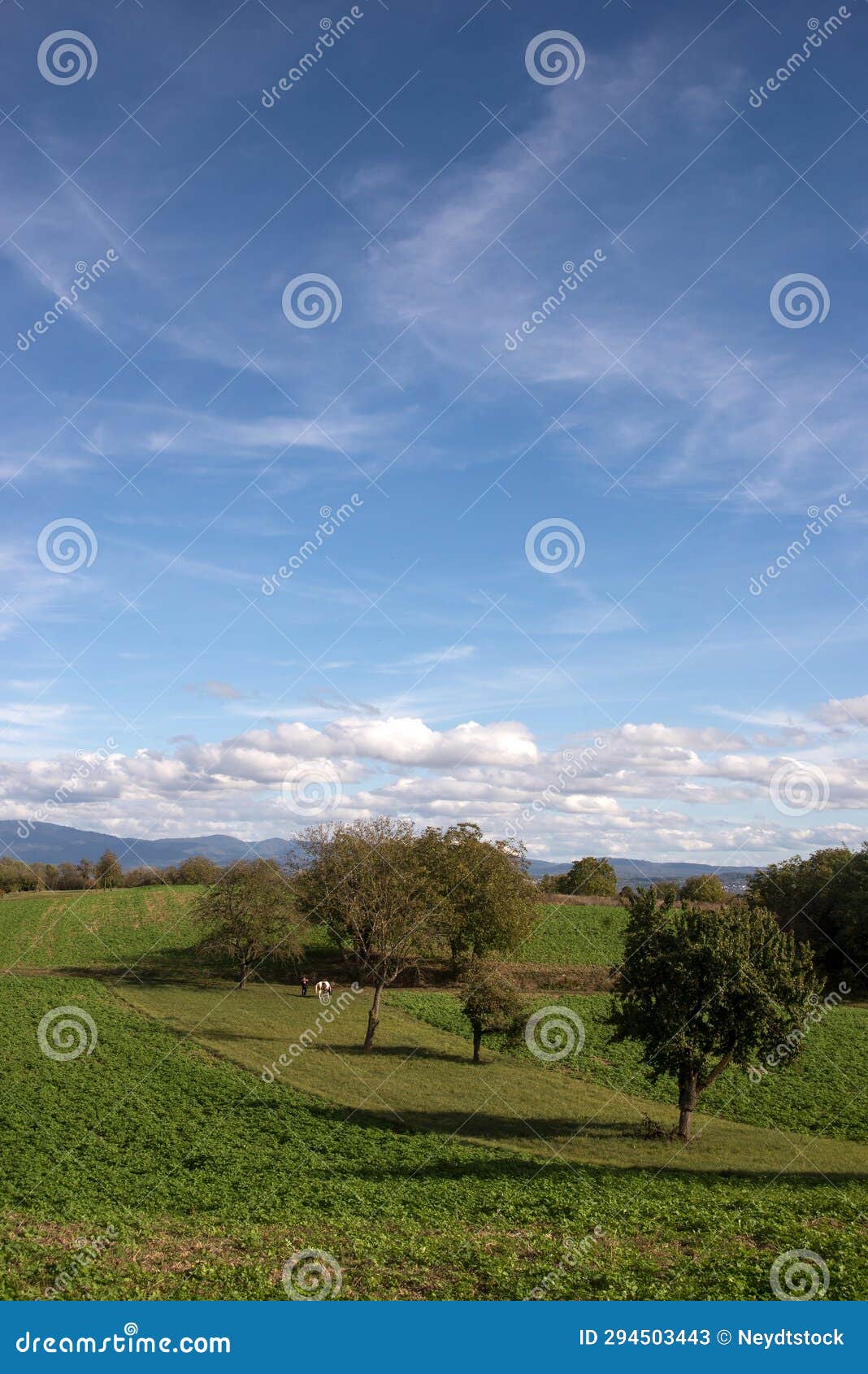 Country Landscape with a Beautiful Blue Sky Background Stock Image ...