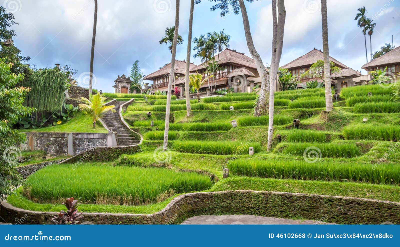 View on Countryside in Bali Editorial Stock Photo - Image of ...