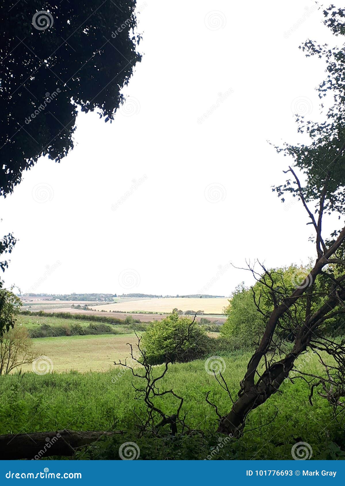 Open Countryside stock image. Image of open, view, landscape - 101776693