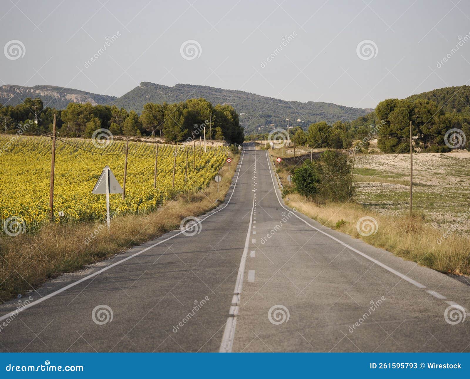 Road Splitting In Two Ways Royalty-Free Stock Photography ...