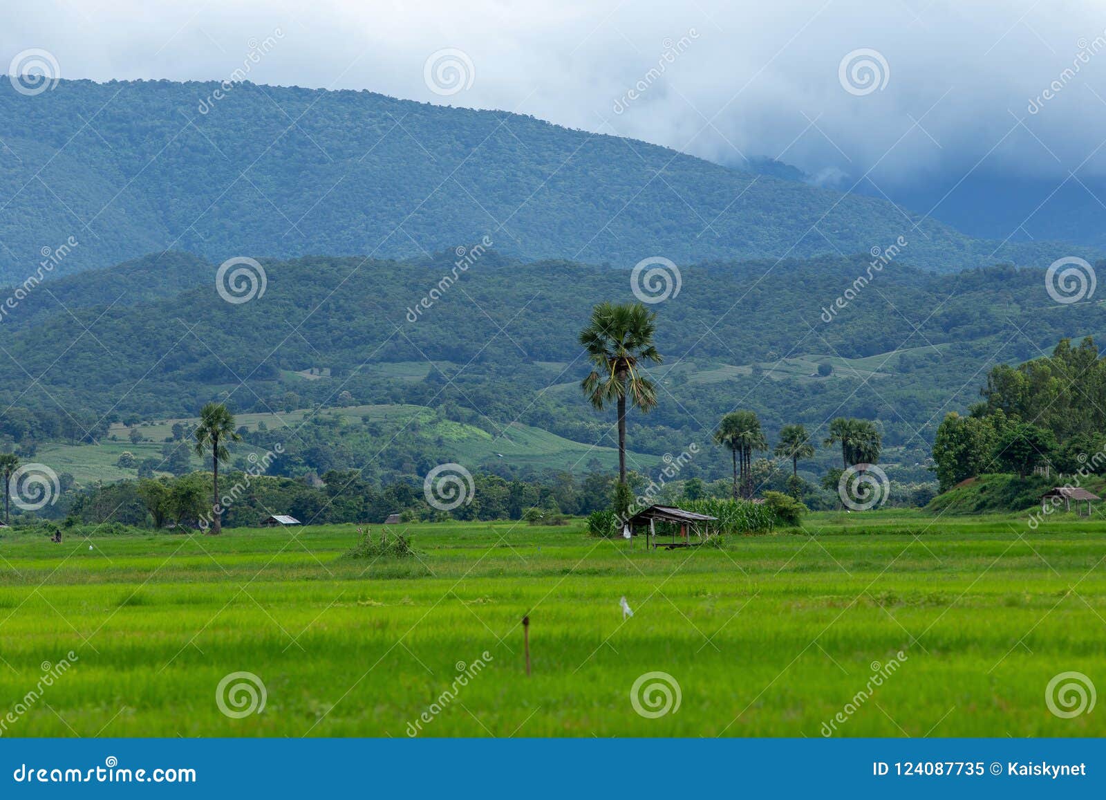 View of the Countryside in the Valley, Thailand Stock Image - Image of ...