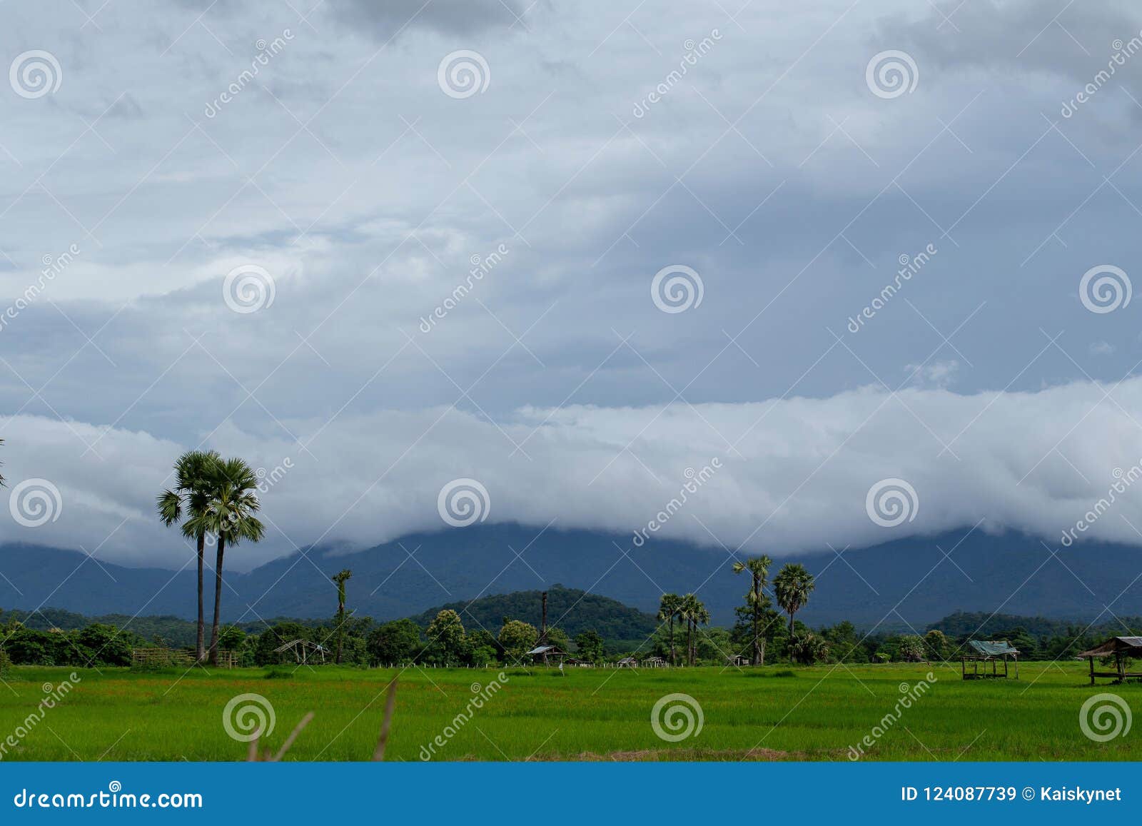 View of the Countryside in the Valley, Thailand Stock Image - Image of ...