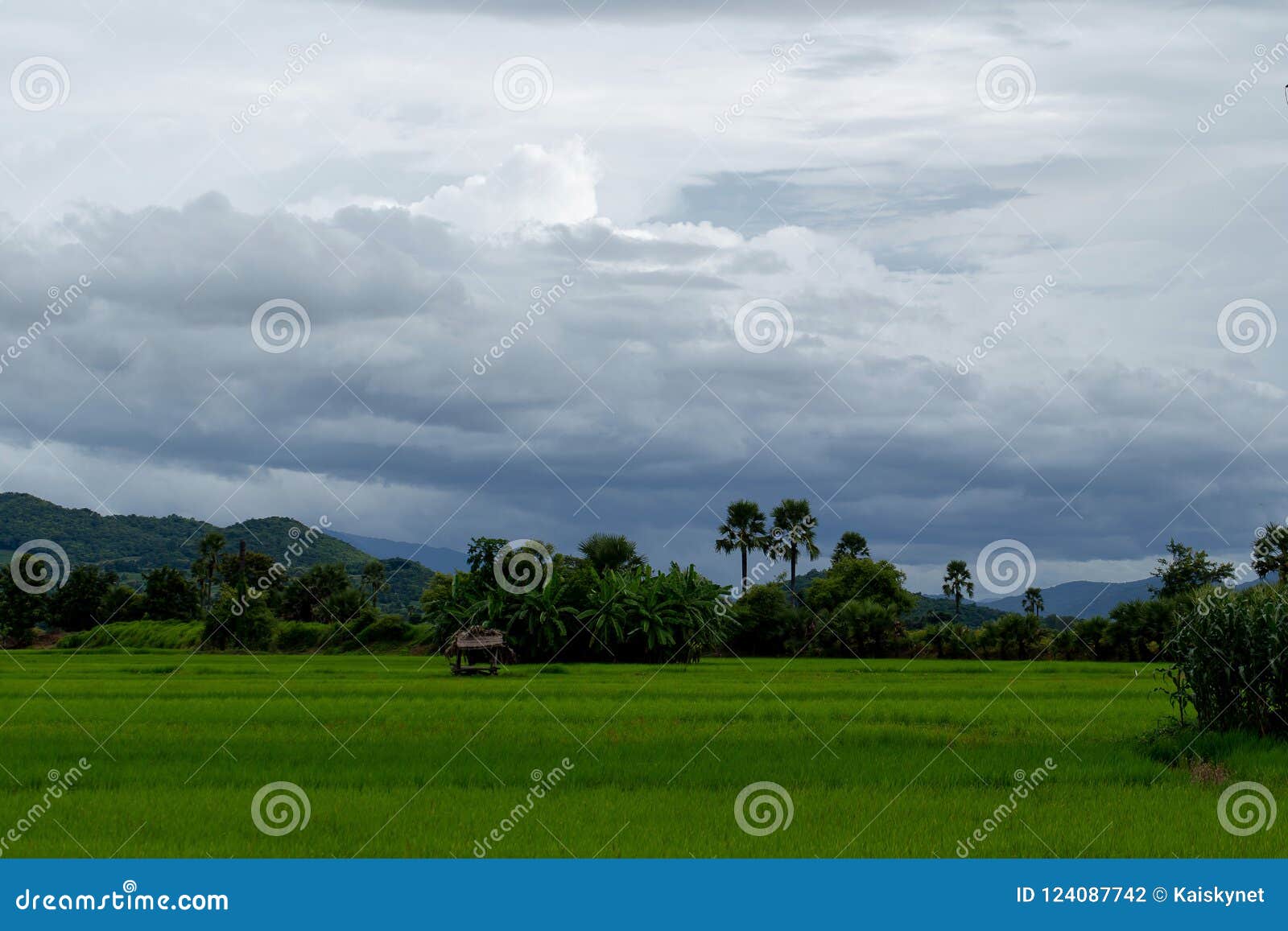 View of the Countryside in the Valley, Thailand Stock Photo - Image of ...
