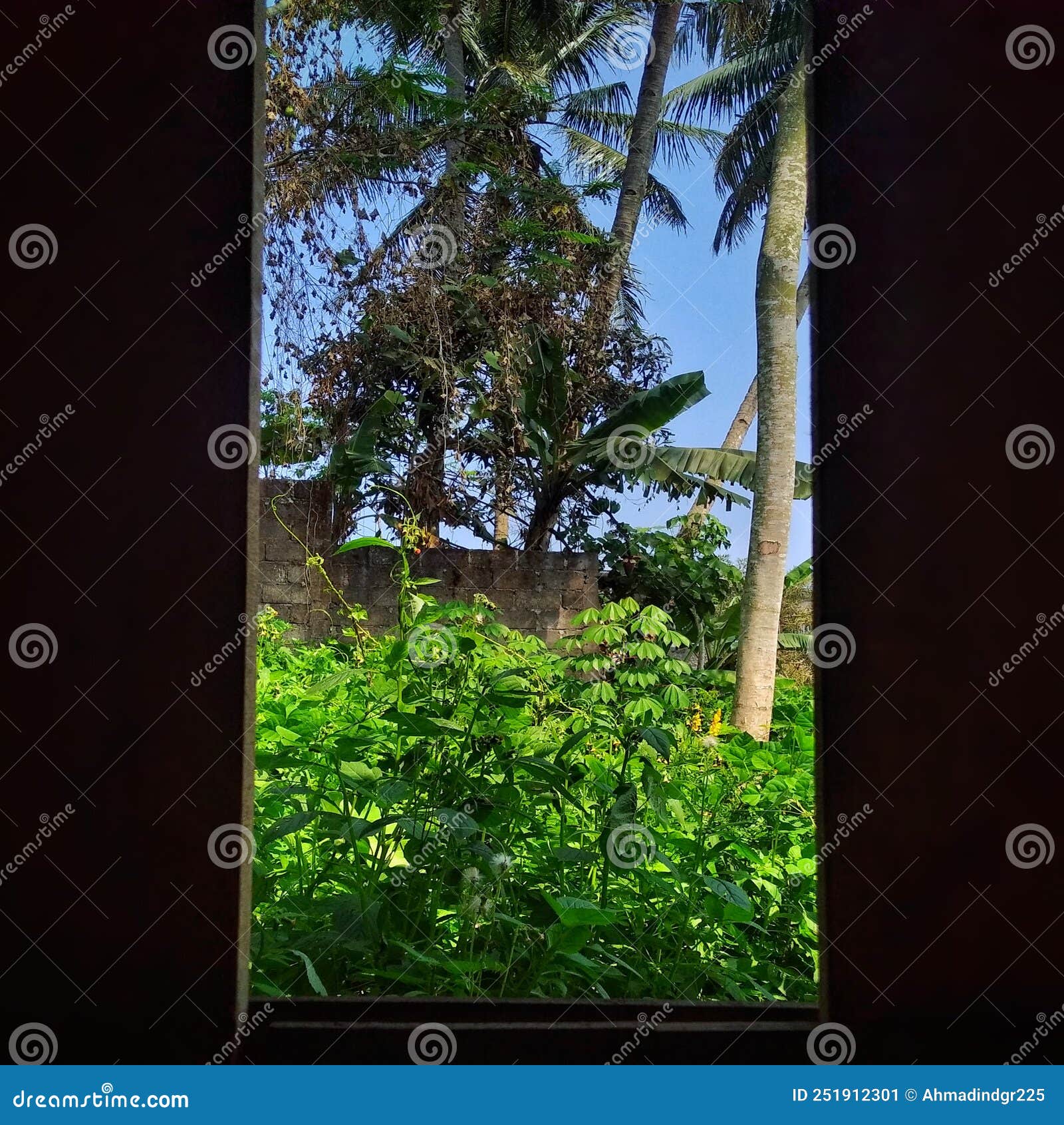 View of a Courtyard from Outside the Window Stock Image - Image of ...