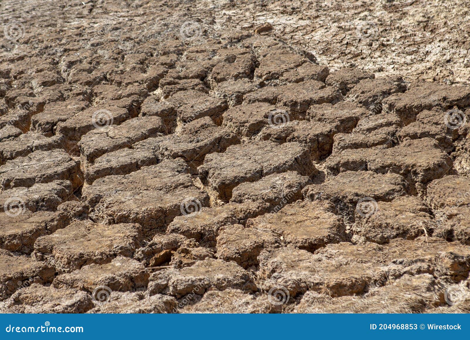 Cracked, Parched Land After A Long Dry Season Royalty-Free Stock Photo ...