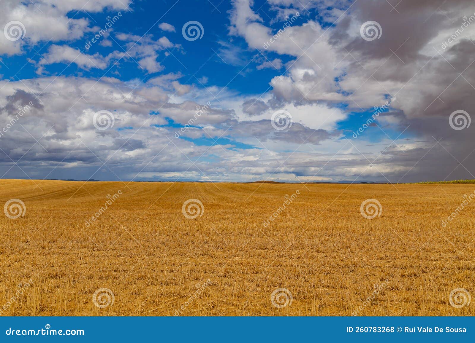 View of a Crop Field in Spain Stock Photo - Image of irrigated, farm ...