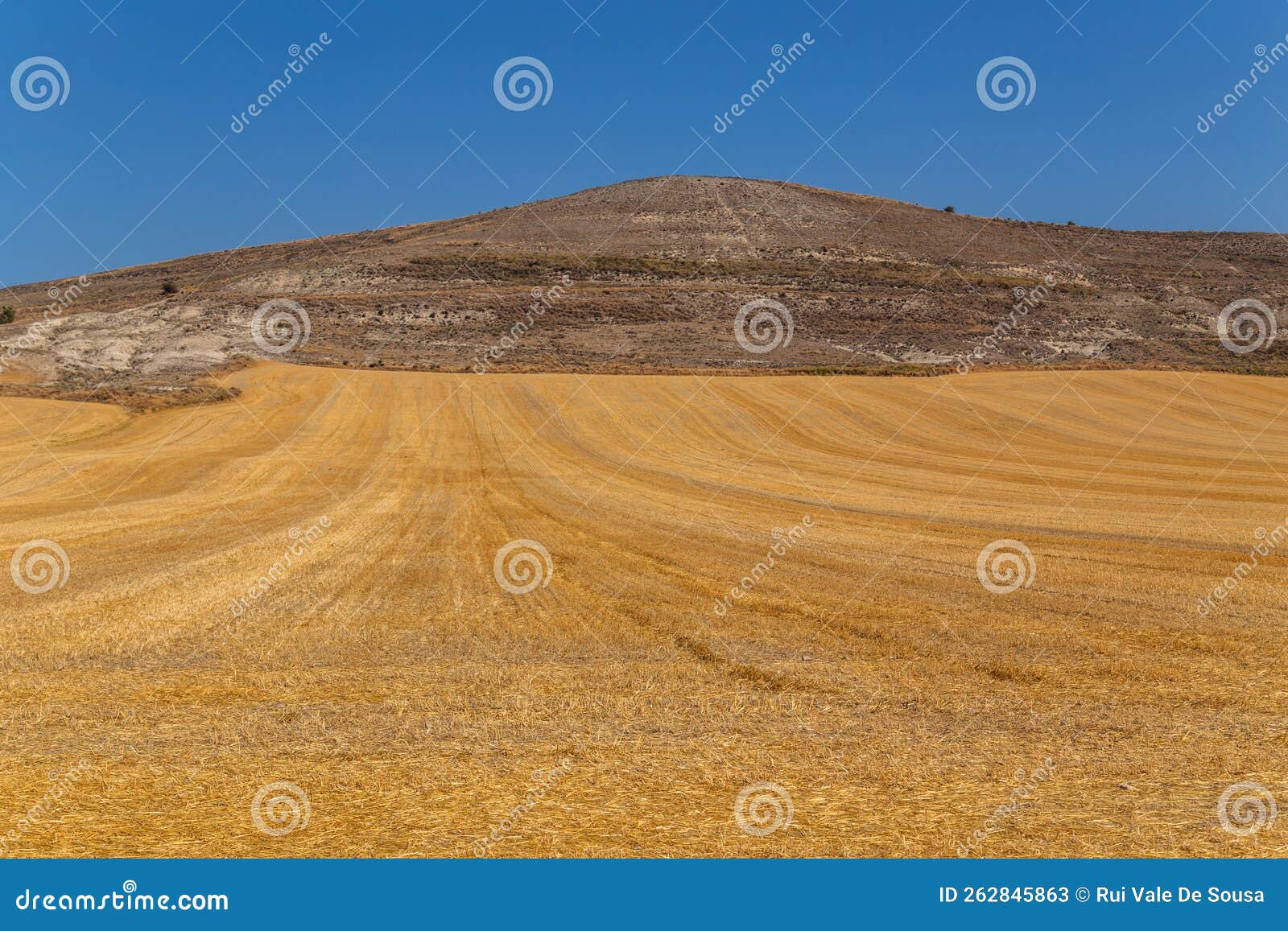 View of a Crop Field in Spain Stock Image - Image of nature, rain ...
