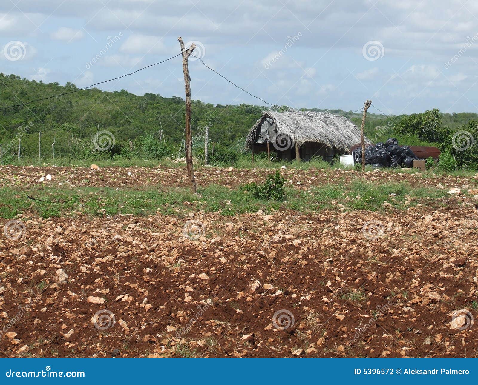 View Of A Cuban Country Picture. Image: 5396572