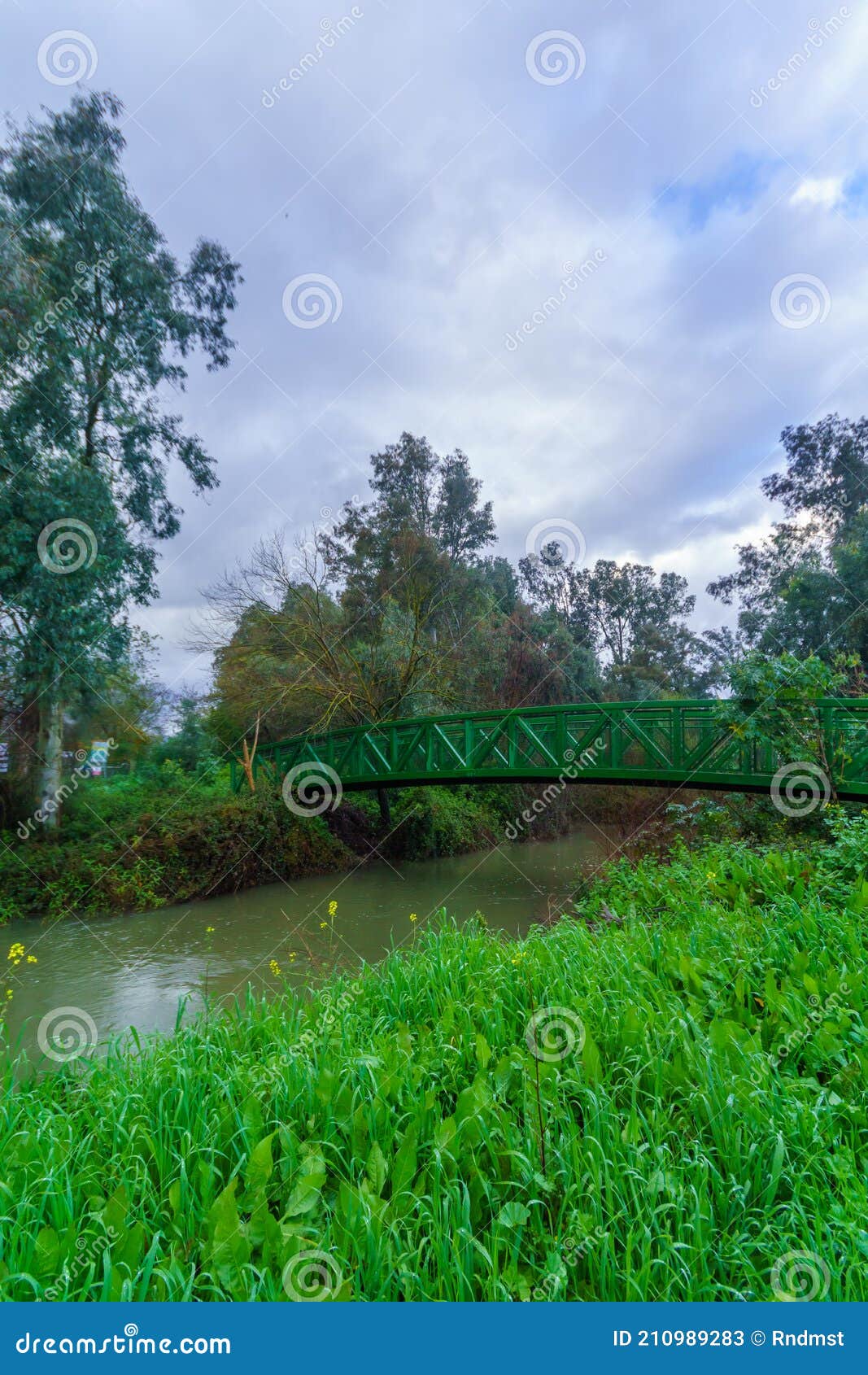 Dan Stream, a Source of the Jordan River Stock Image - Image of meet ...