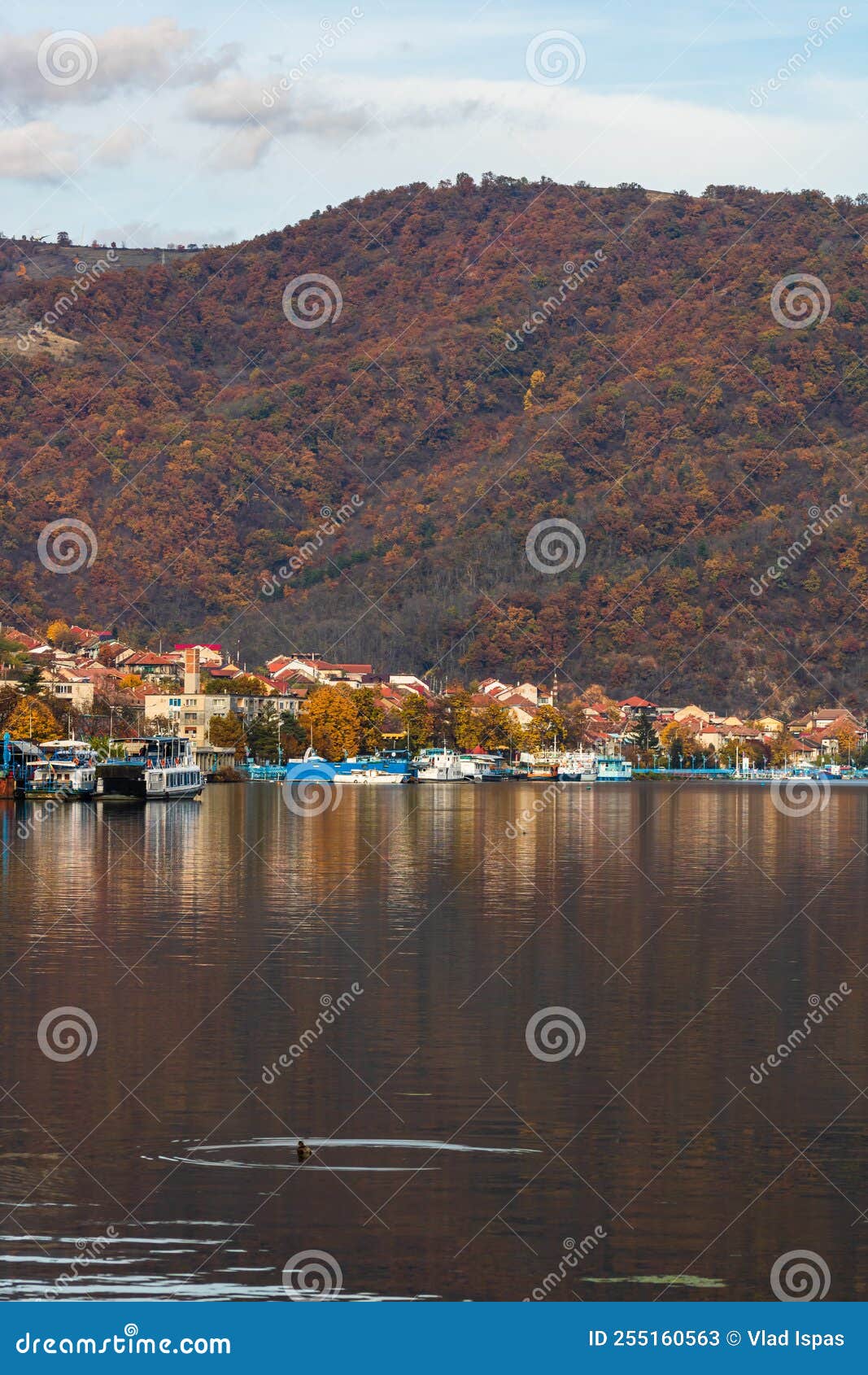View of Danube River and Orsova City, Waterfront View. Orsova, Romania ...