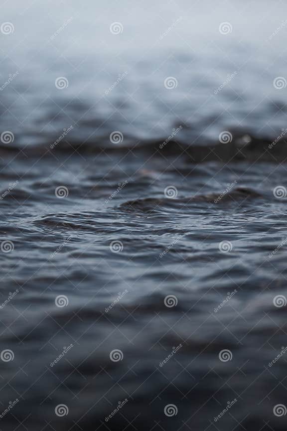 View of a Dark Blue Ocean Surface with Small Waves Undulating Across ...