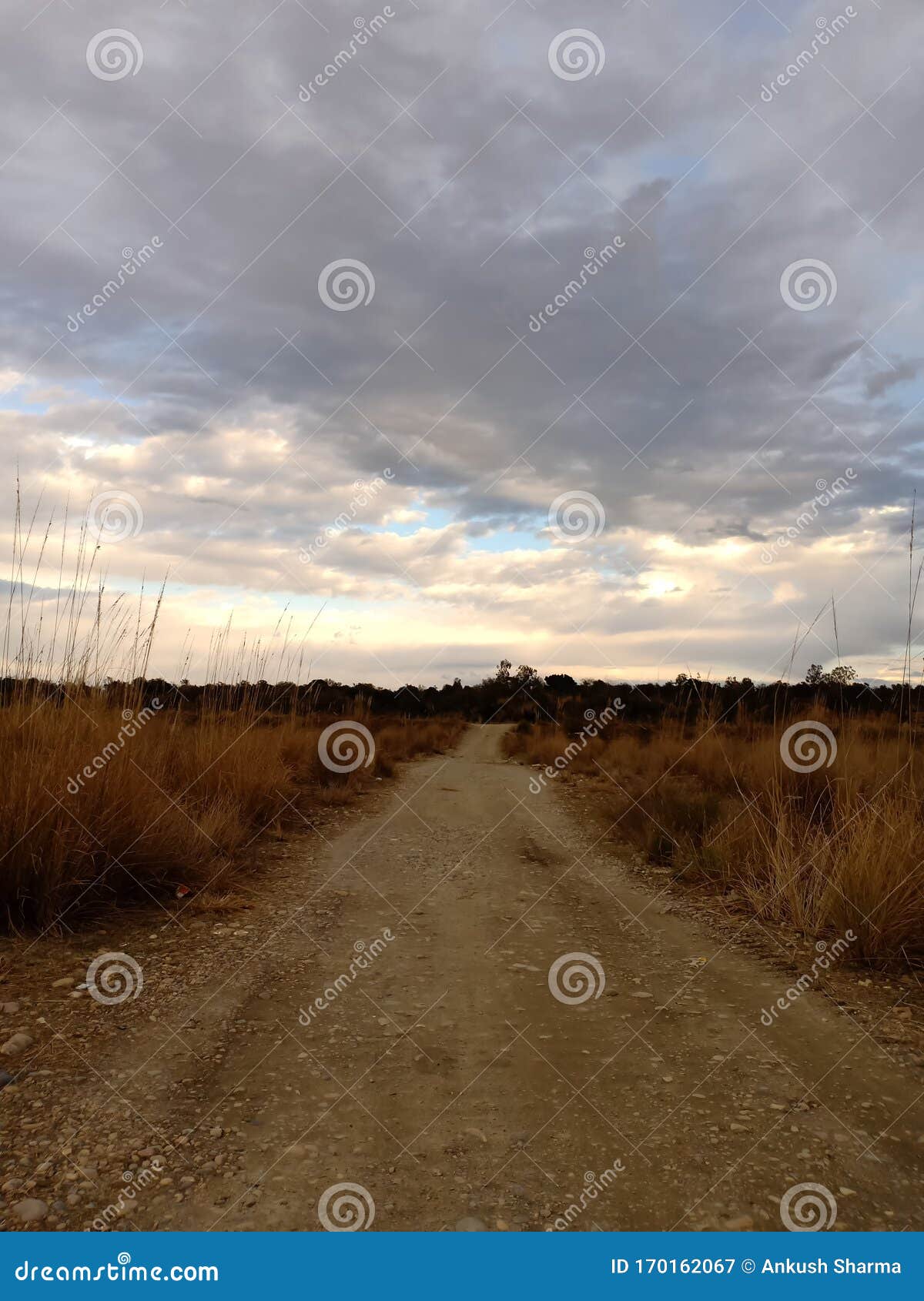 Rough Path Leading Up Eastern Side Of Loughrigg Fell Stock Photo ...