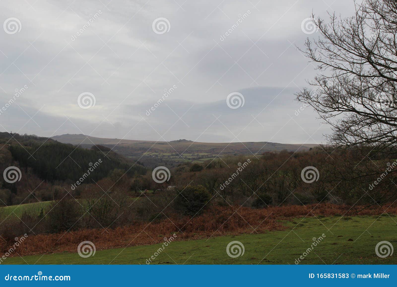 View of dartmoor in Devon stock image. Image of devon - 165831583