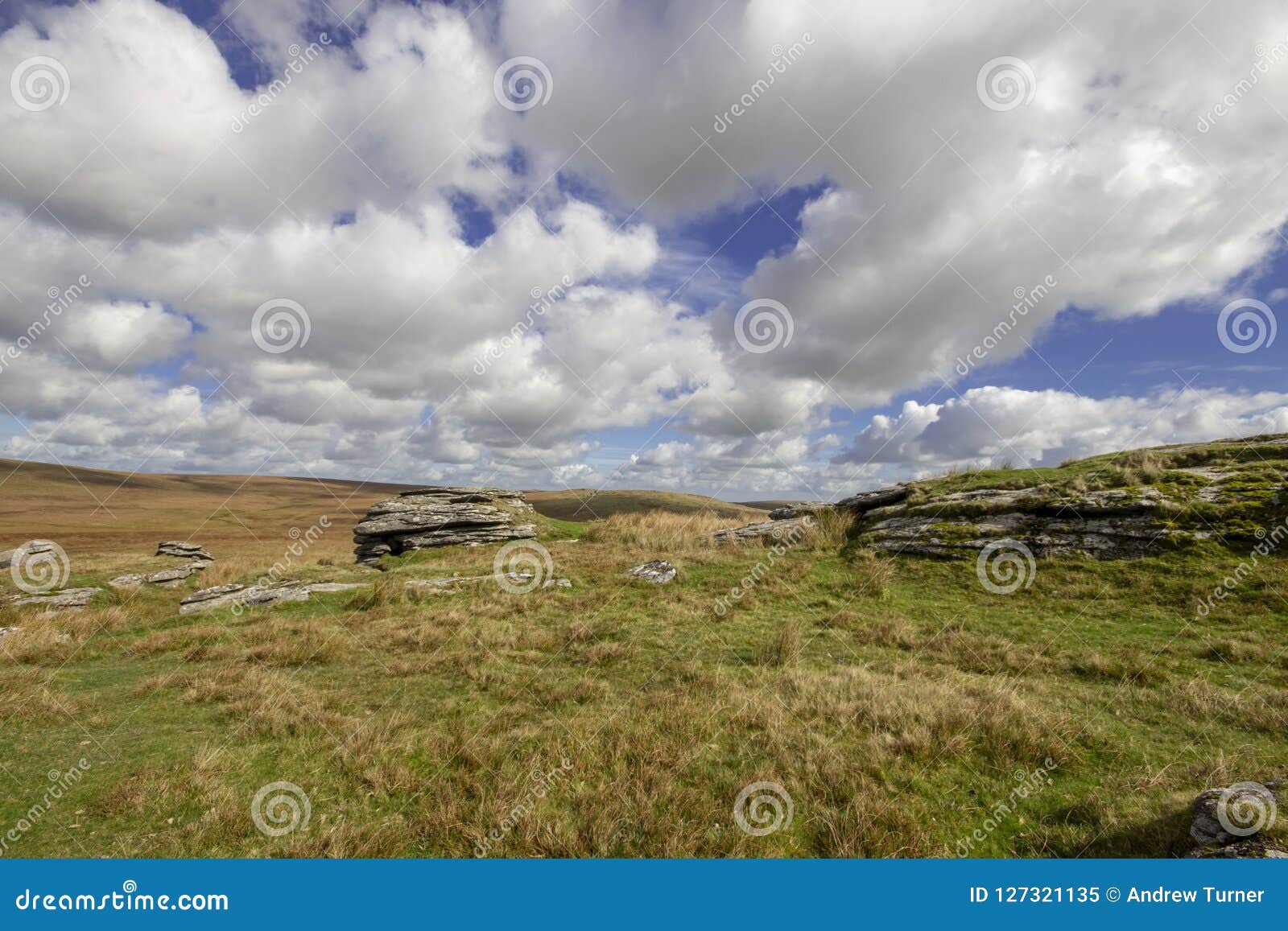 View of Dartmoor from Higher White Tor Stock Image - Image of wood ...