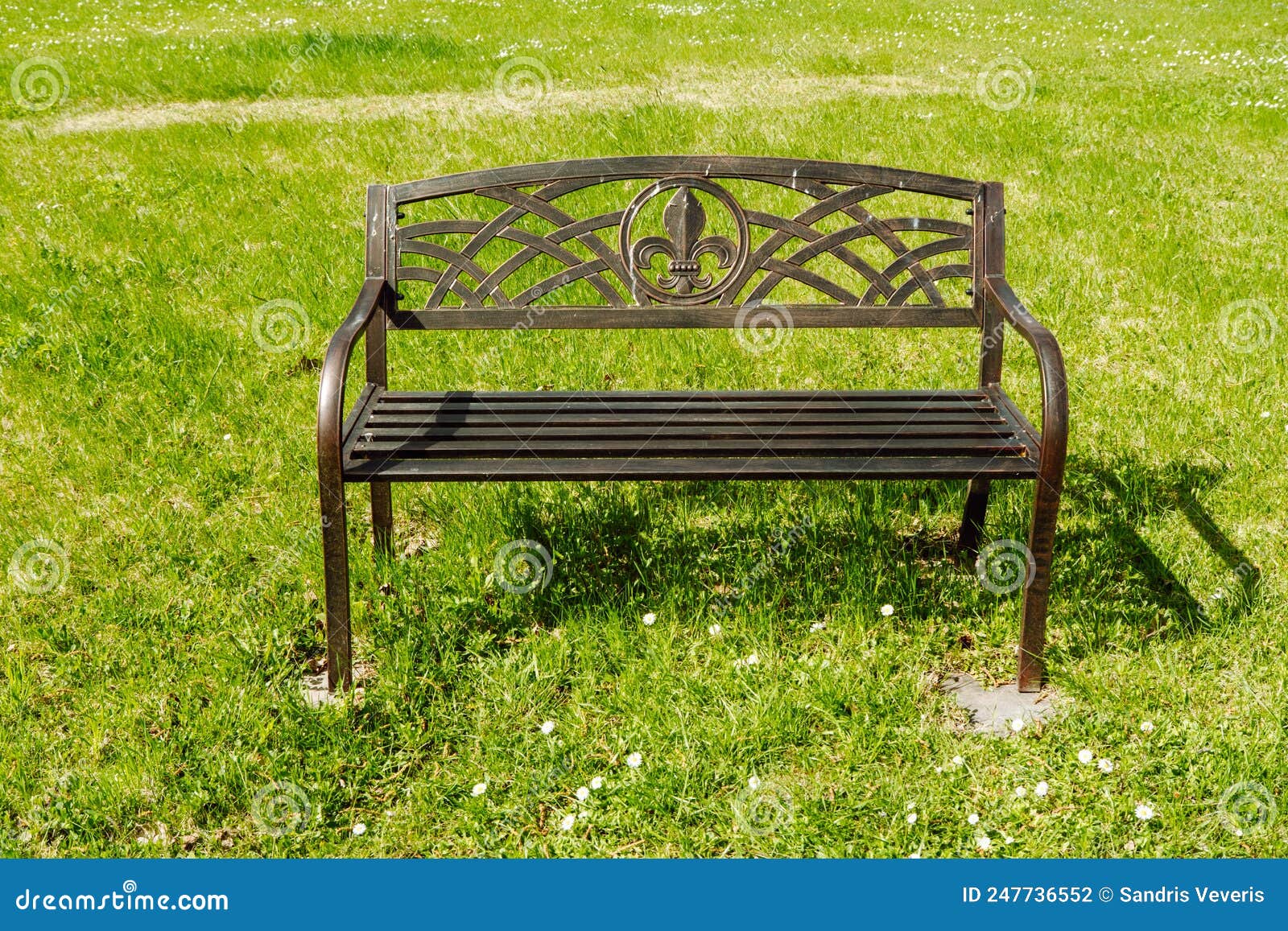 View of a Decorative Metal Garden Bench. Green Spring Grass Stock Photo ...