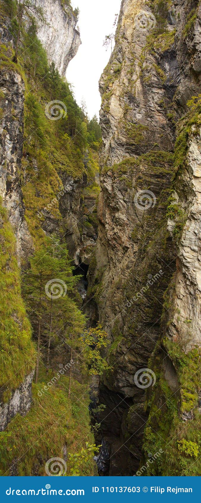 View of a deep gorge stock image. Image of gorge, vacation - 110137603