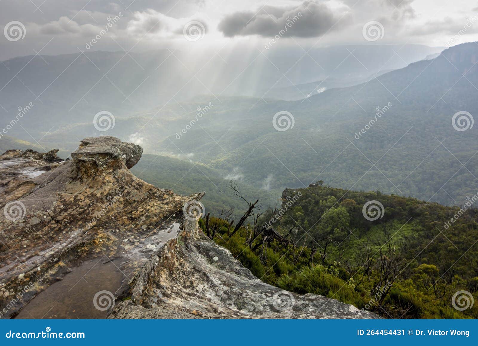 View of Deep Valley and Rolling Hills from a Rocky Cliff Edge Stock ...