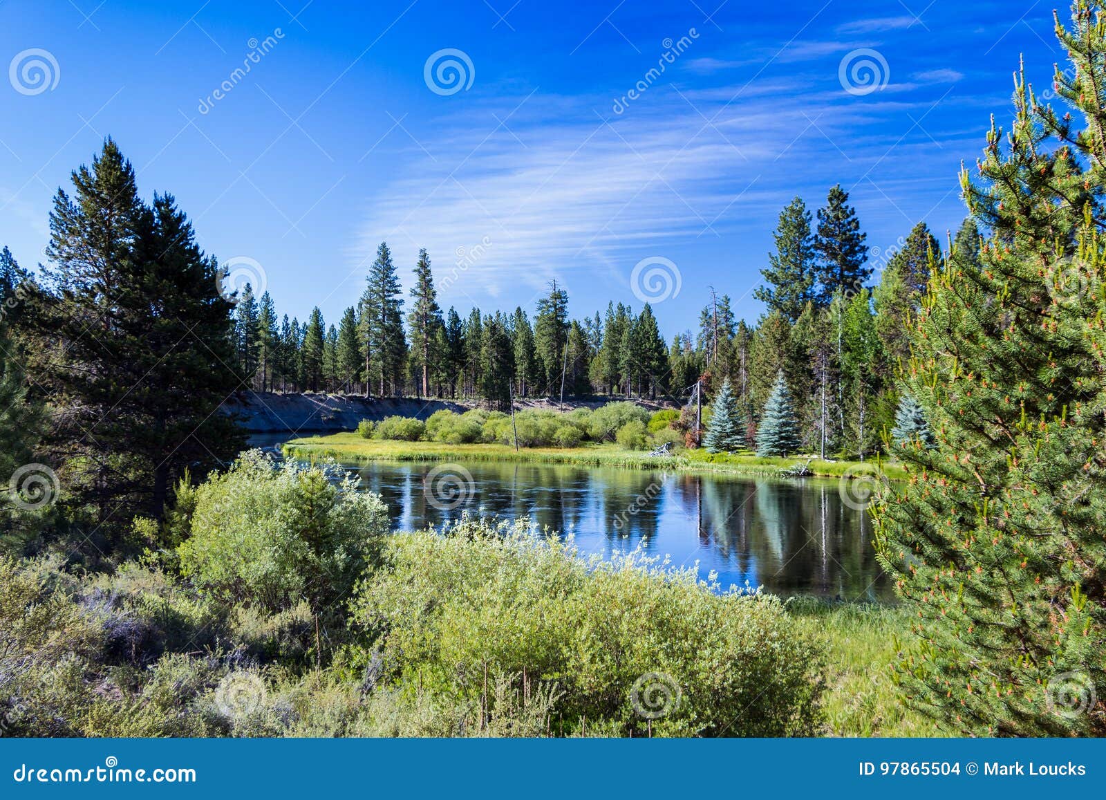 View of Deschutes River Sunriver Oregon Stock Photo - Image of stream ...