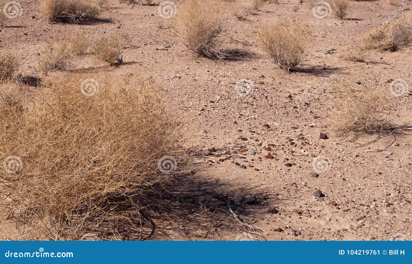 A view of the desert floor stock image. Image of dirt - 104219761