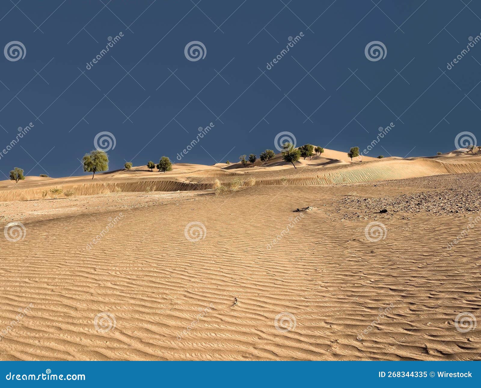 View of the deserted area stock image. Image of landmark - 268344335
