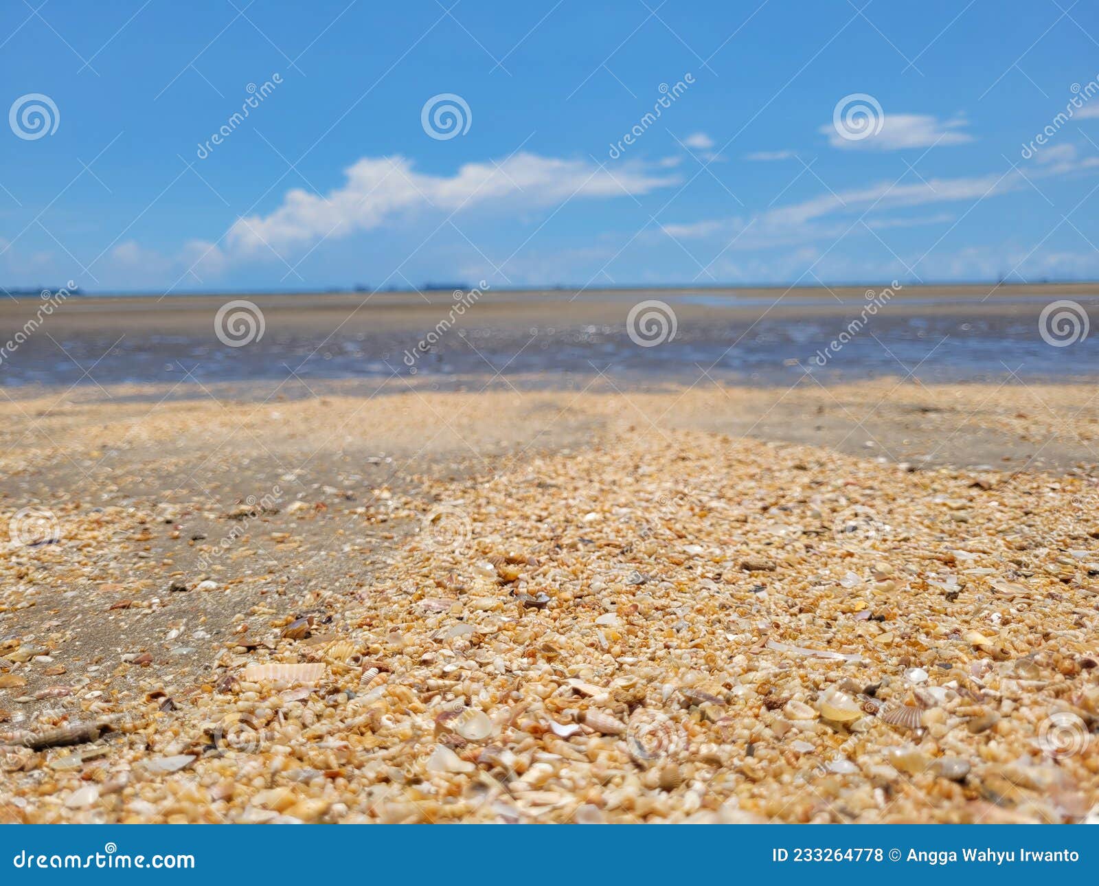 The View of the Destroyed Shellfish and Snail House on the Beach Stock ...
