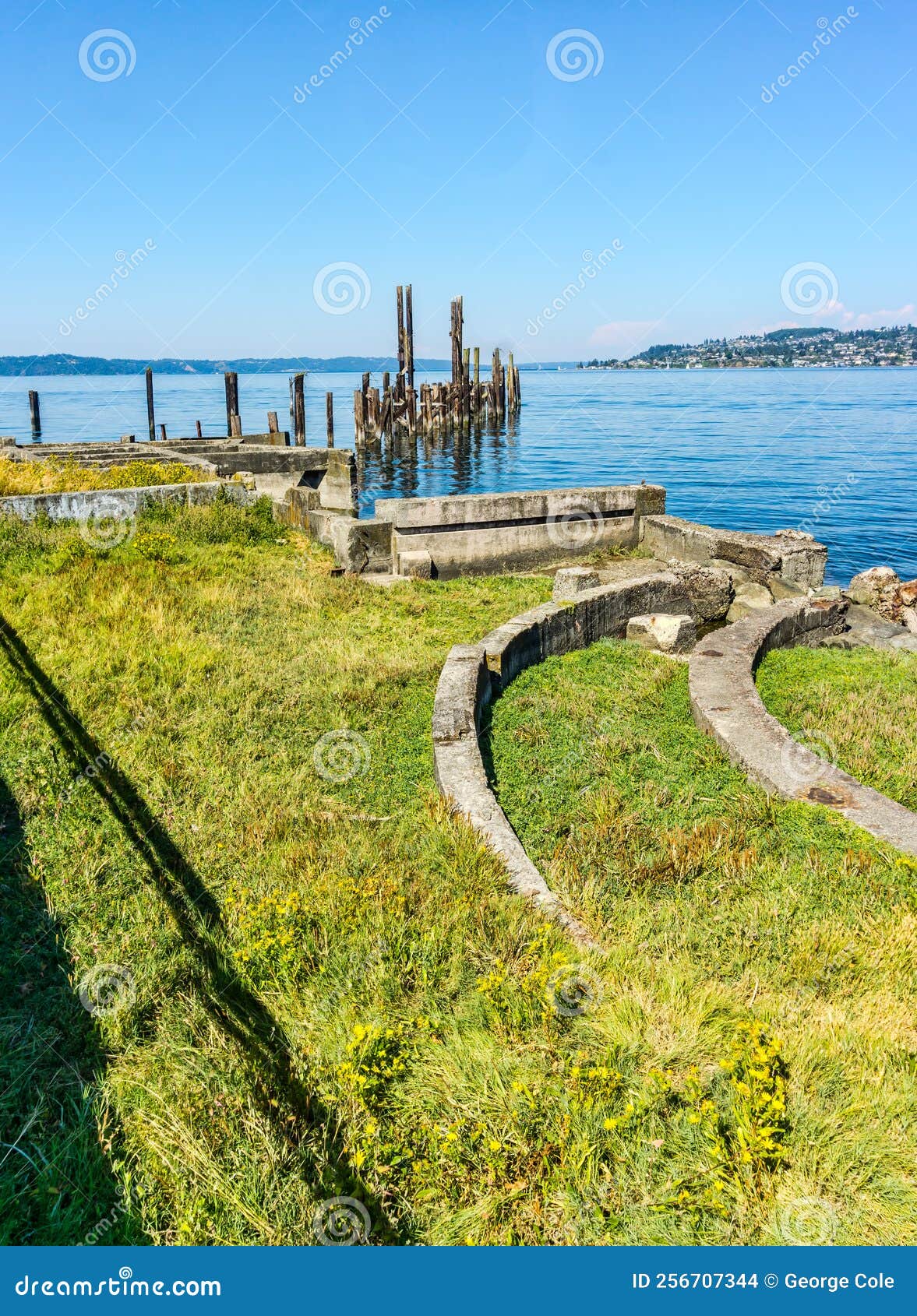 Public Waterfront Park 7 stock photo. Image of outdoors - 256707344