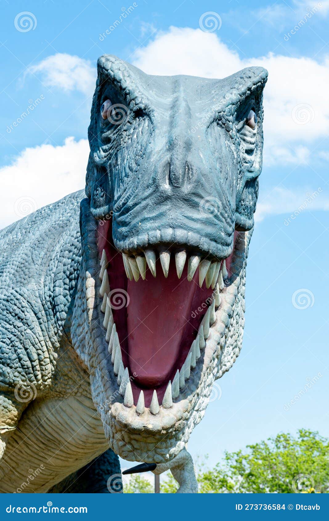 Dinosaur head close up stock photo. Image of dinosaur - 273736584