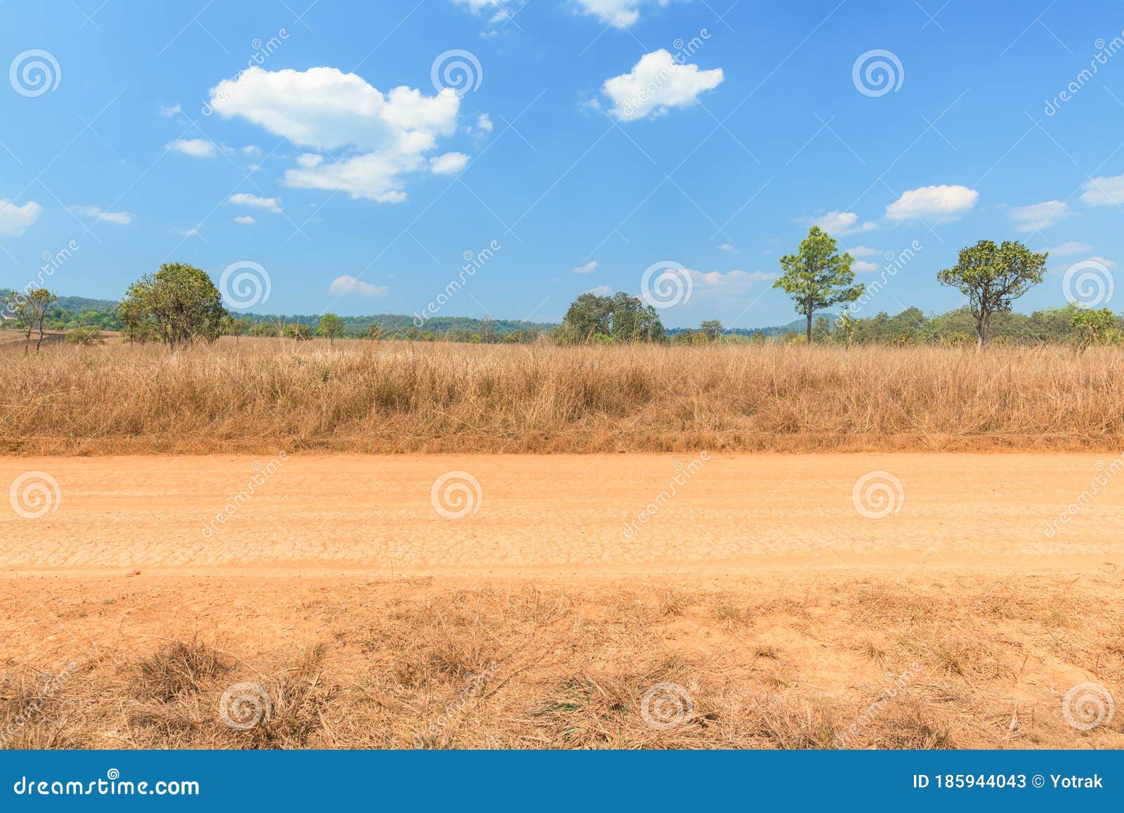 Road Side View.Trees And Grassland Background , Landscape Royalty-Free ...