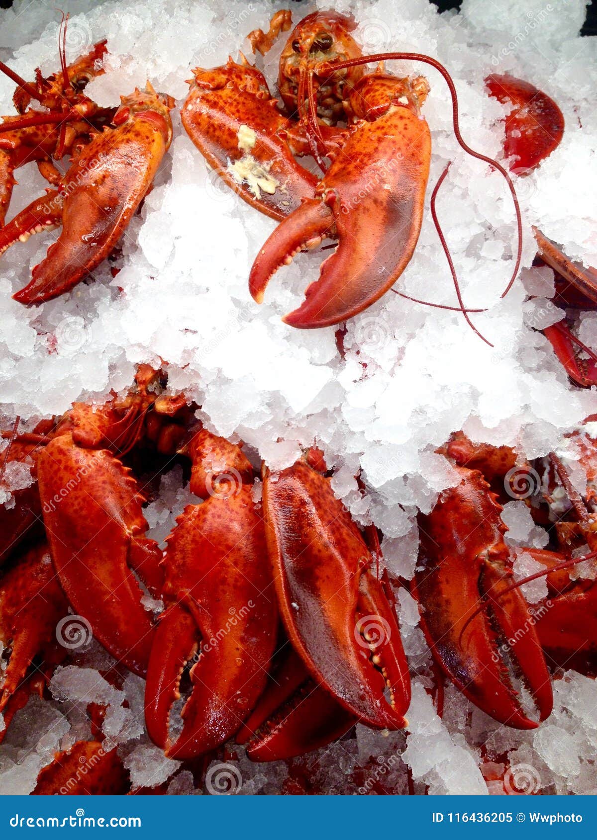 Cooked lobsters stock image. Image of store, food, seafood - 116436205