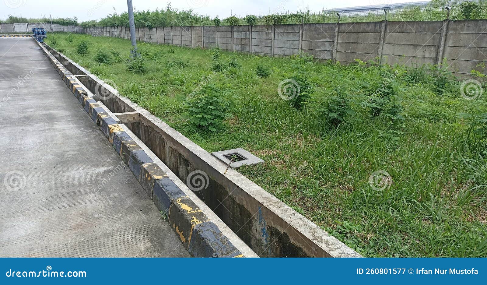 A View of a Ditch and Garden Area with Grass Stock Image - Image of ...