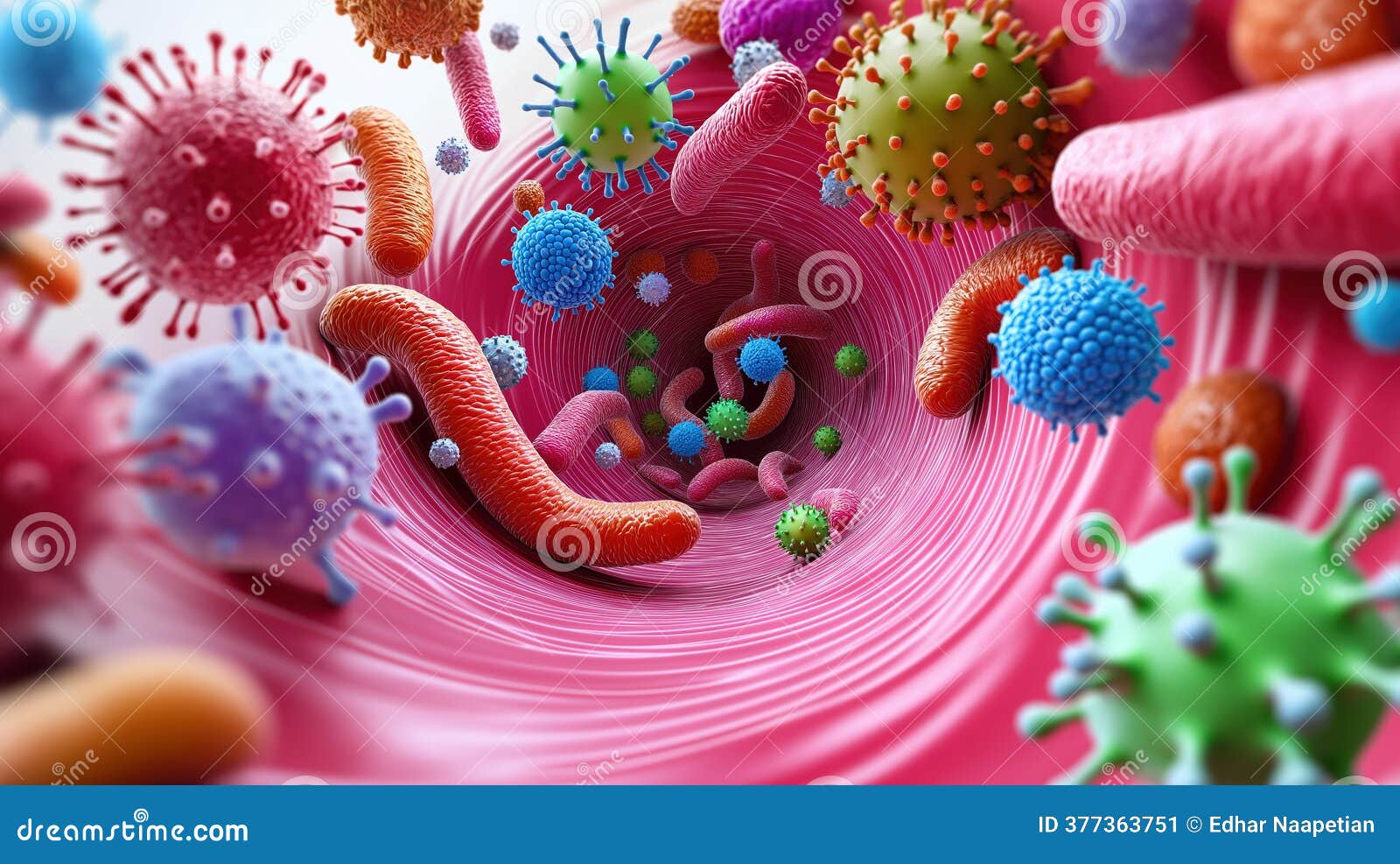 Human Bloodstream Or Circulatory System. Pulmonary Circulation In Lungs ...