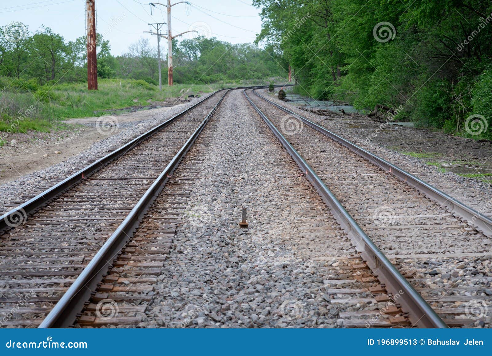 View of a Double Steel Railroad Tracks with Trees on the Side of the ...
