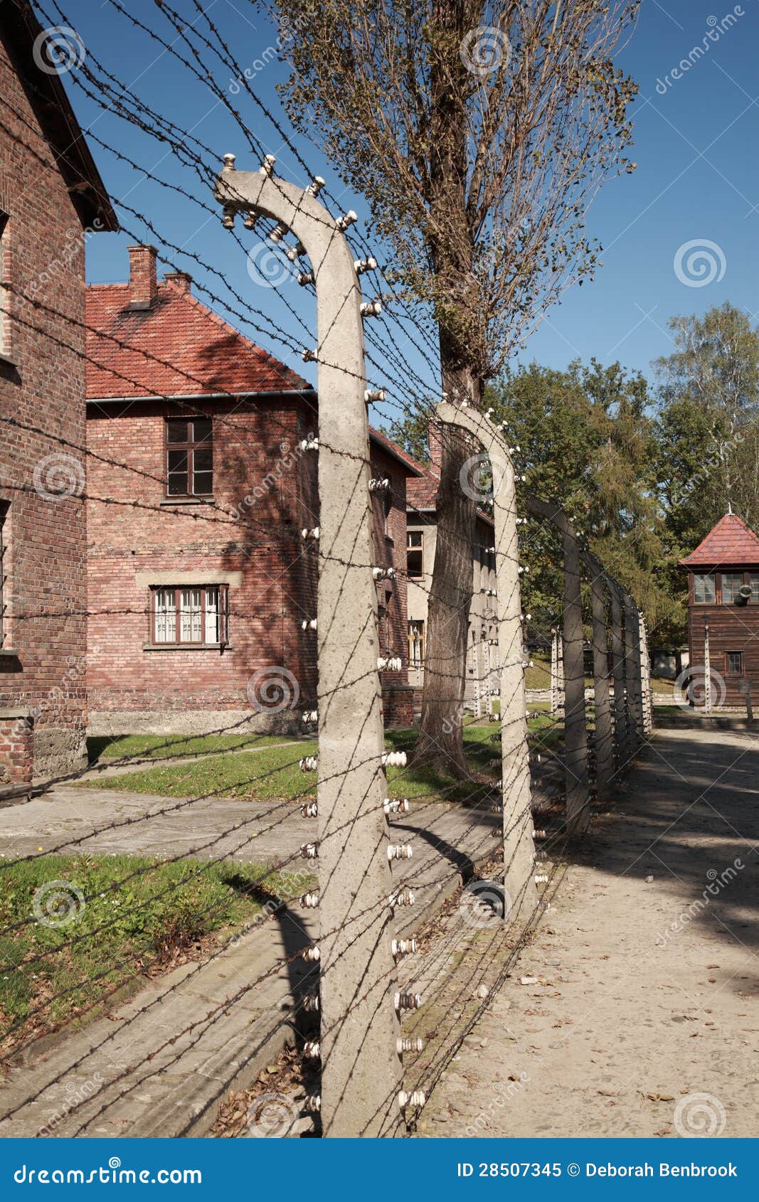 View Down the Barbed Wire Fence, Auschwitz Editorial Image - Image of ...