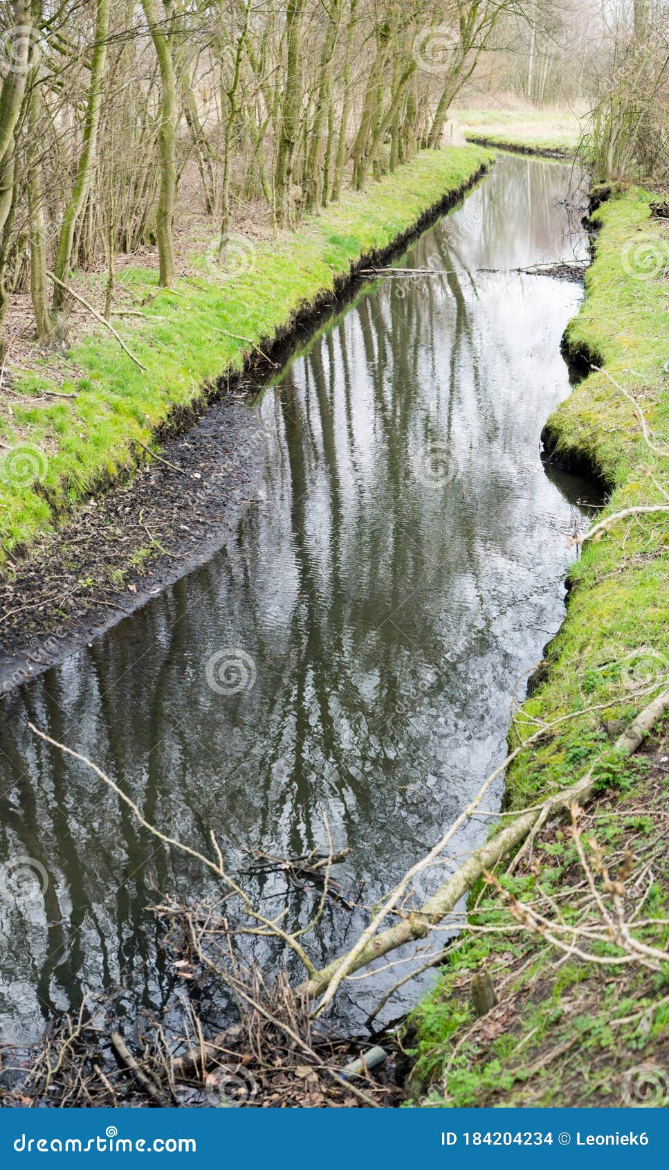 View Down a Brook with Grassland and Bare Trees that Reflect in the ...