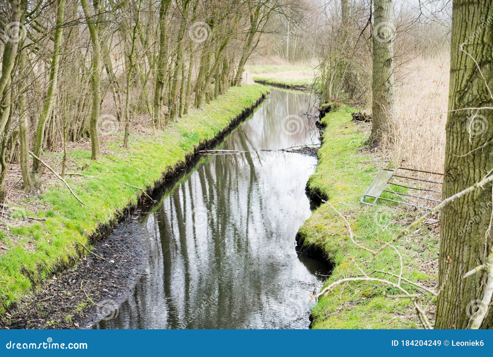 View Down a Brook with Grassland and Bare Trees that Reflect in the ...