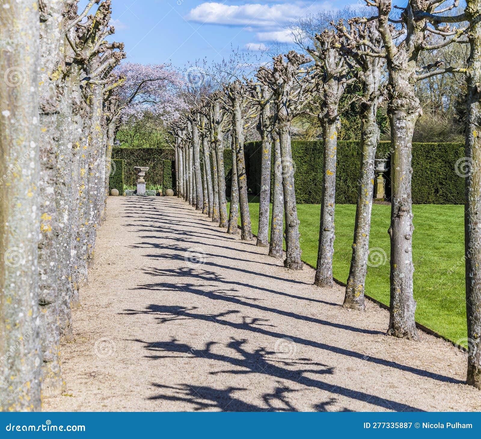 Tree Top Walkway With A Bridge, The Royal Botanic Gardens, Kew, London ...