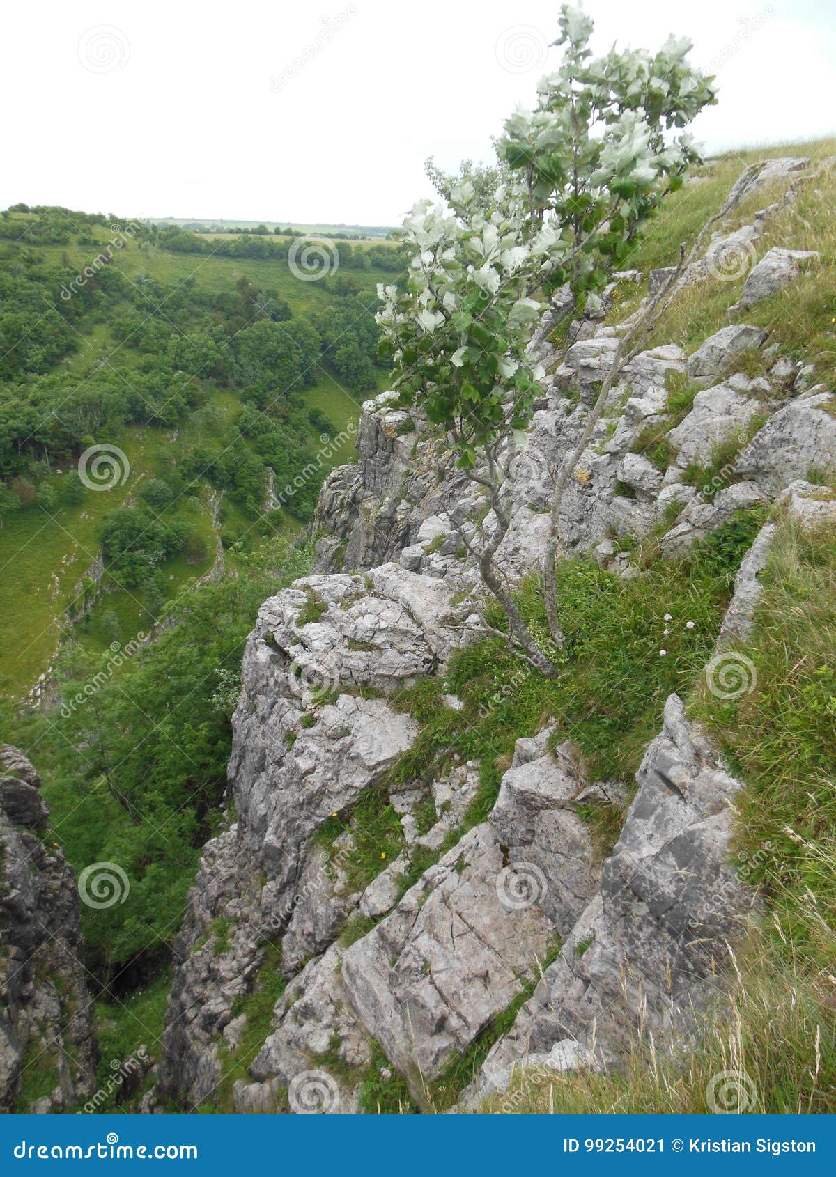 Cliff side portrait stock image. Image of portrait, side - 99254021