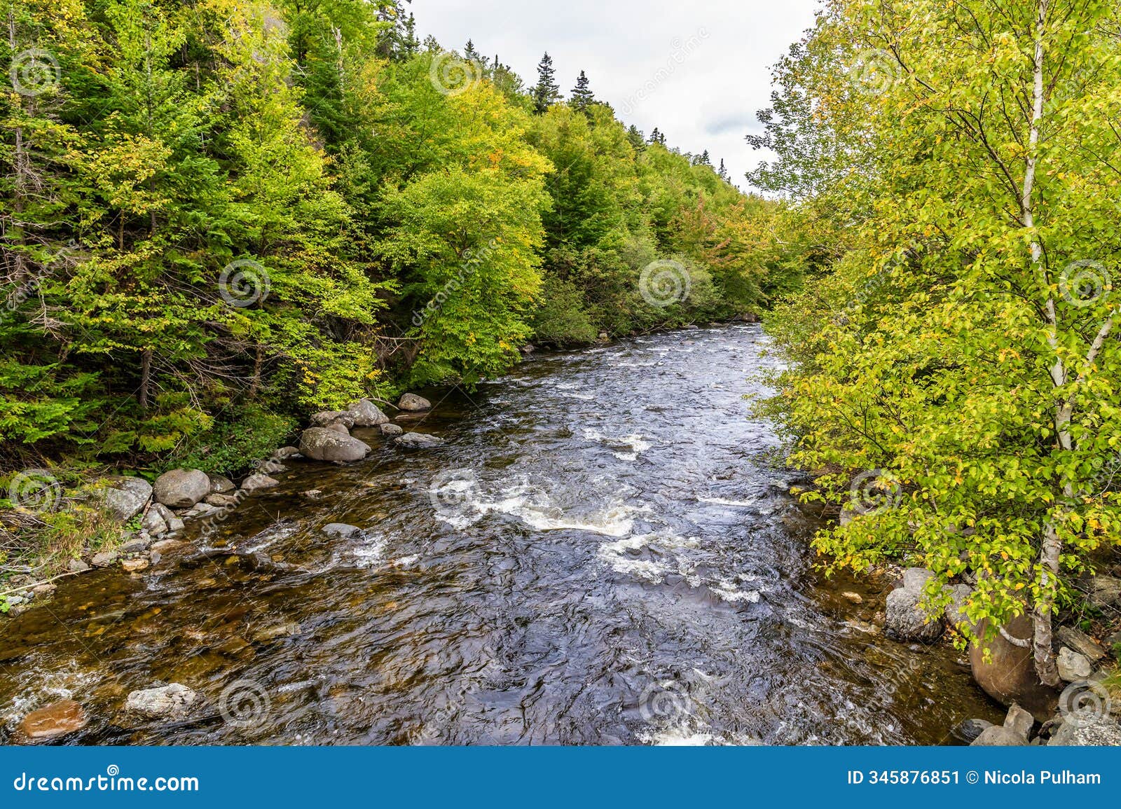 A View Down the Upper Reaches of the Corner Brook Stream at Corner ...