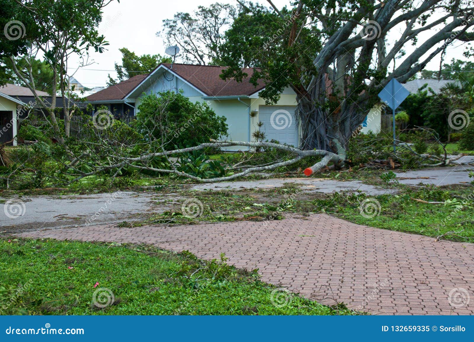Broken Trees with House after Hurricane Stock Image - Image of fallen ...