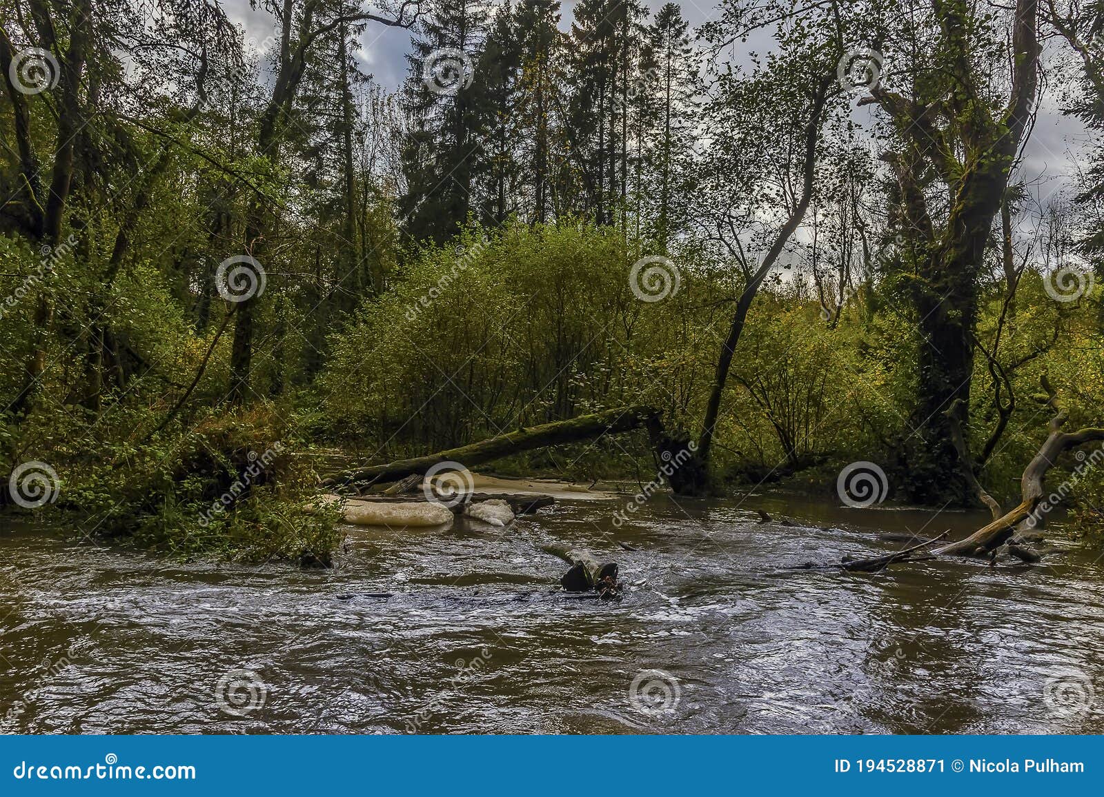 A View Downstream from the Waterfall at Ffynone, Wales after Heavy ...