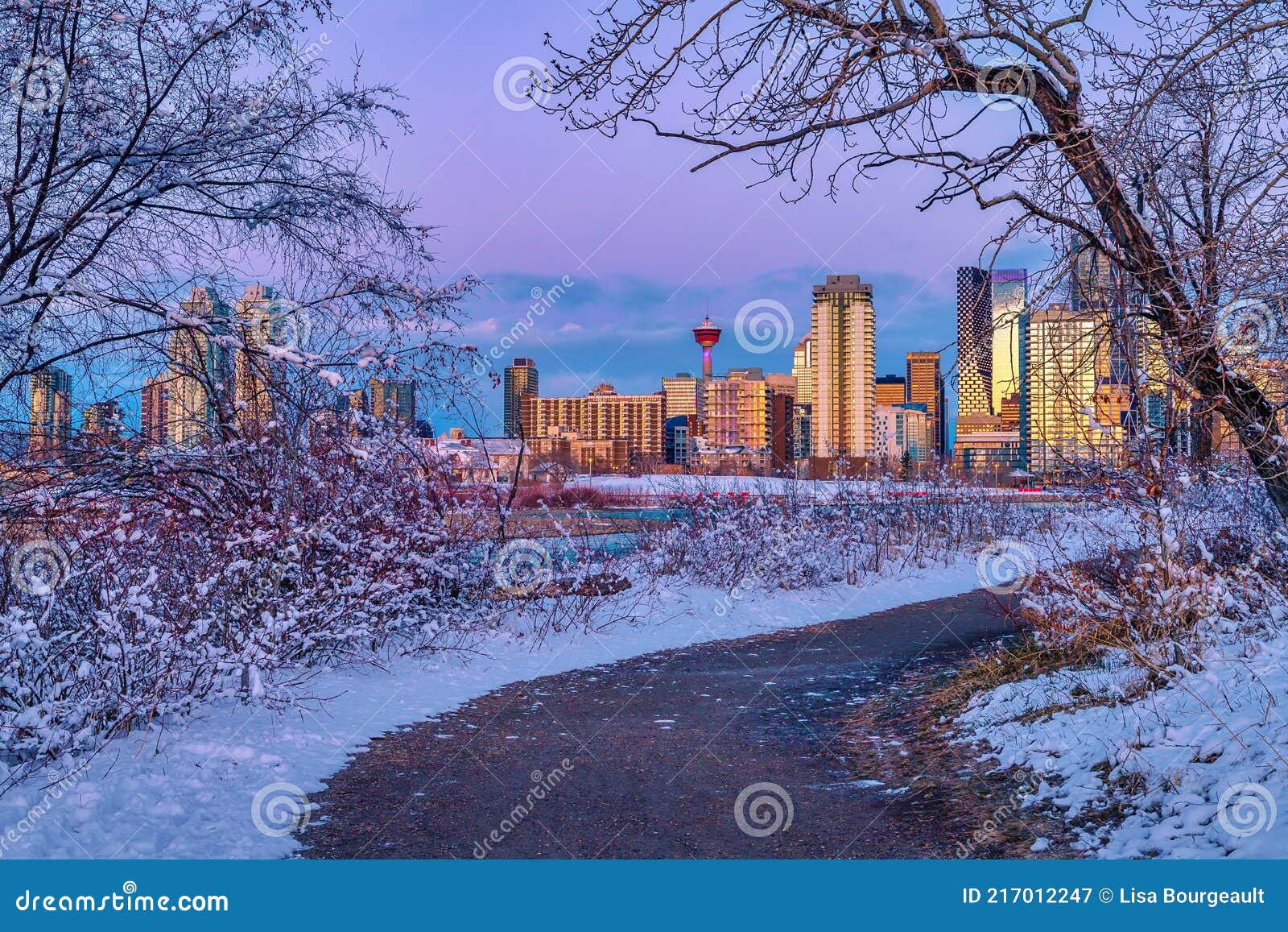 Park Pathway between Snowy Trees Stock Image - Image of calgary, dawn ...