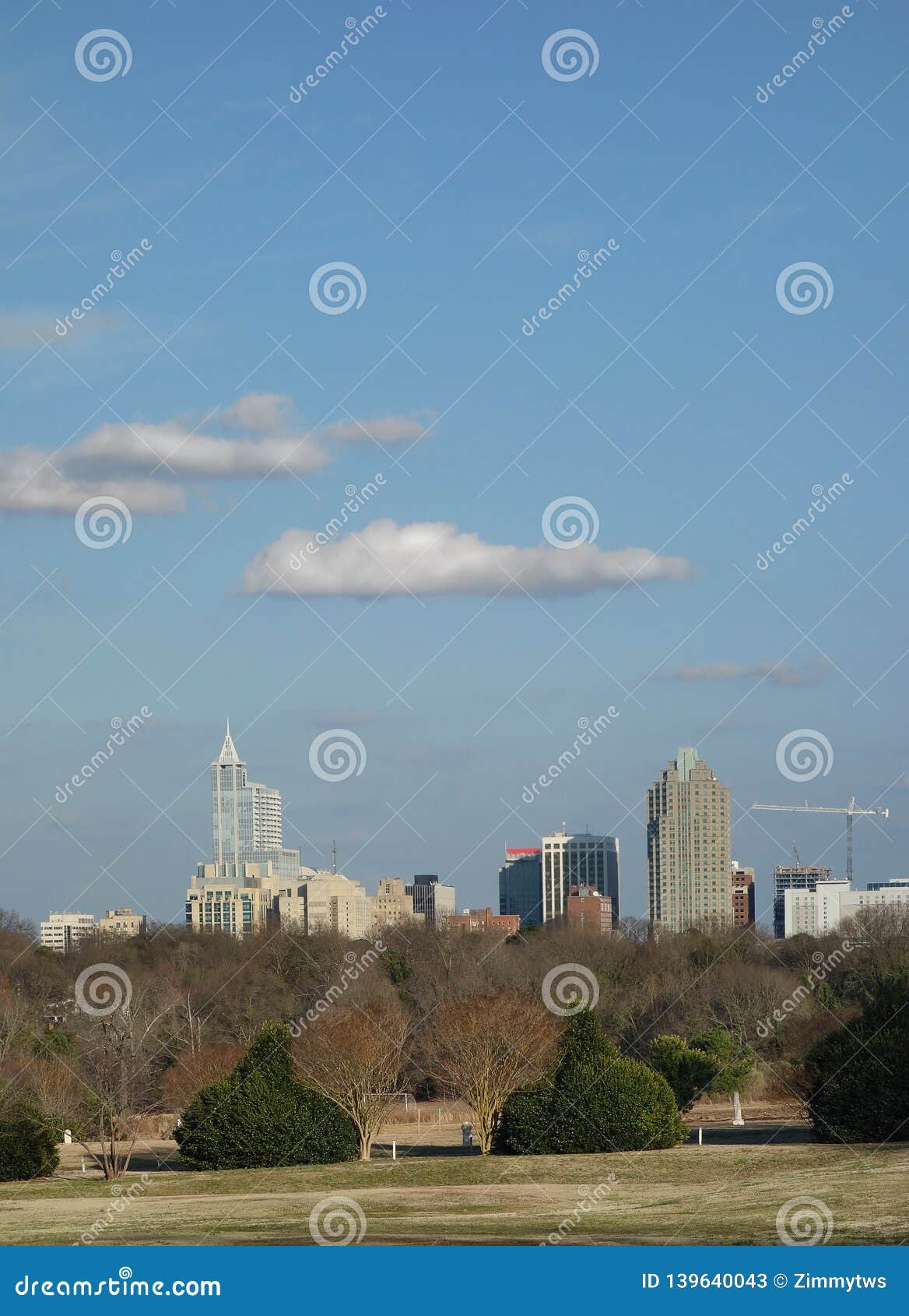 View of Downtown Raleigh NC Skyline from Dorothea Dix Park Stock Image ...