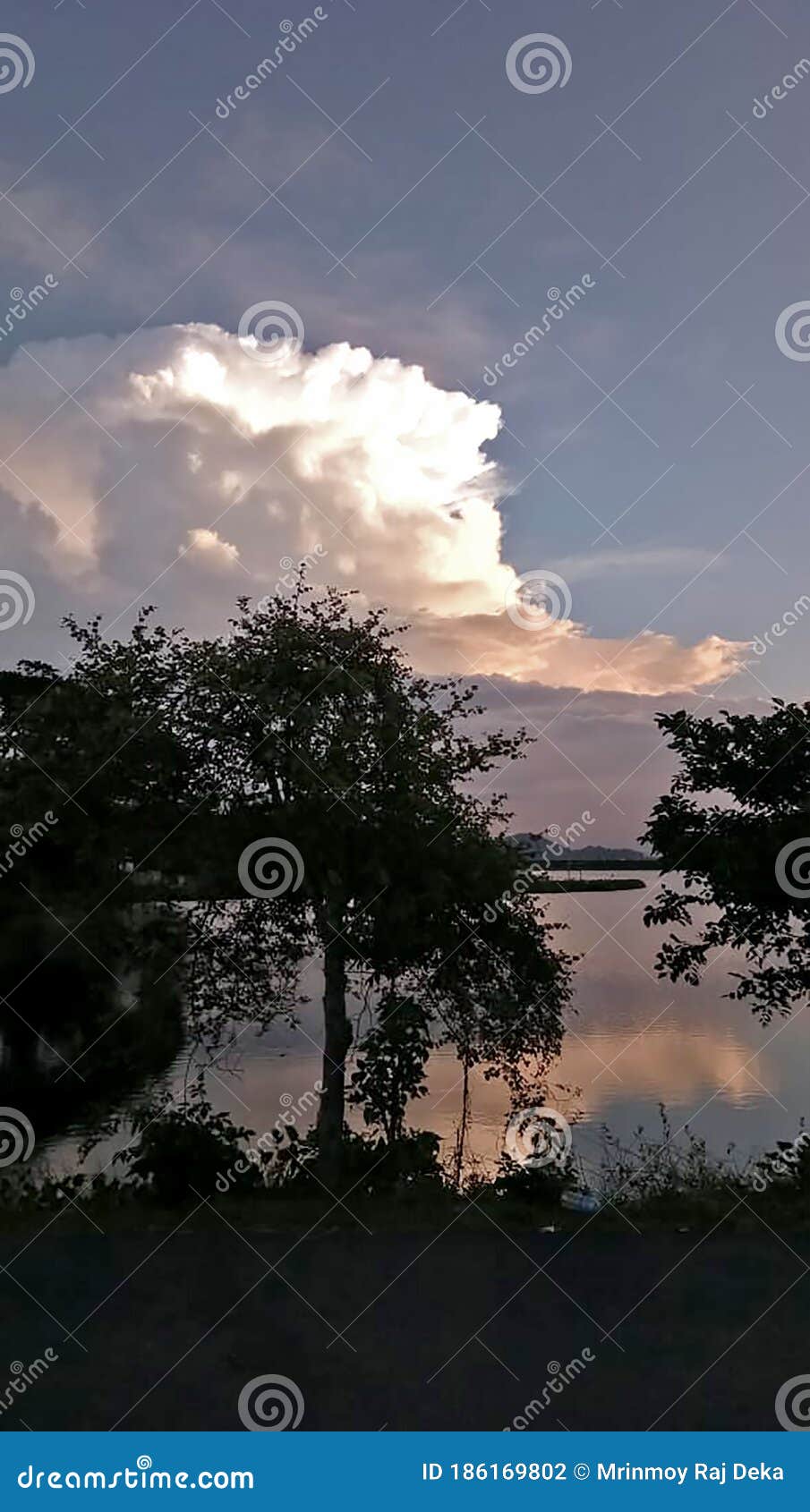 View of Dramatic Evening with Tree Stock Photo - Image of holiday ...