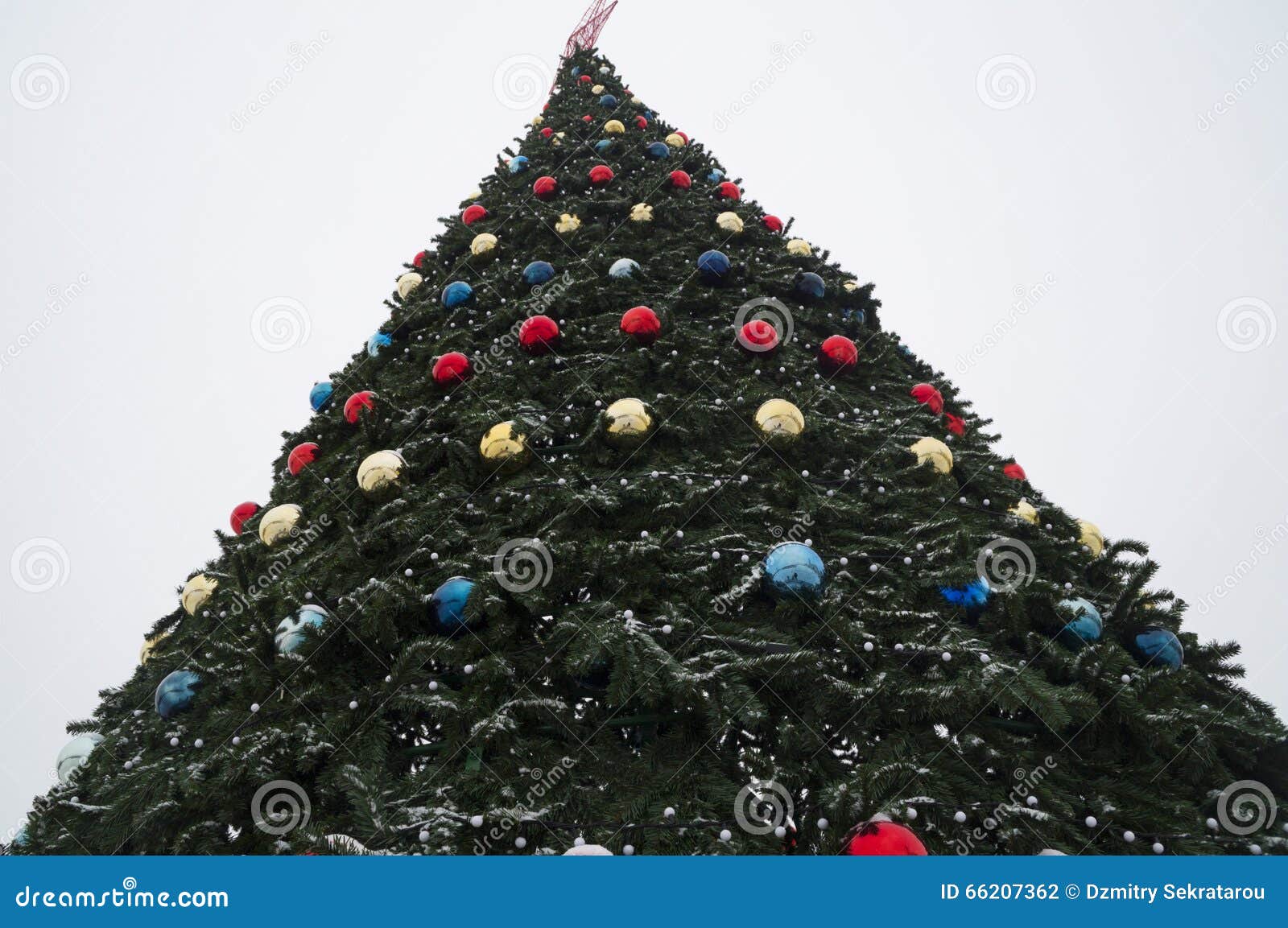 View of Dressed Up a Christmas Tree from the Bottom Up Stock Photo ...