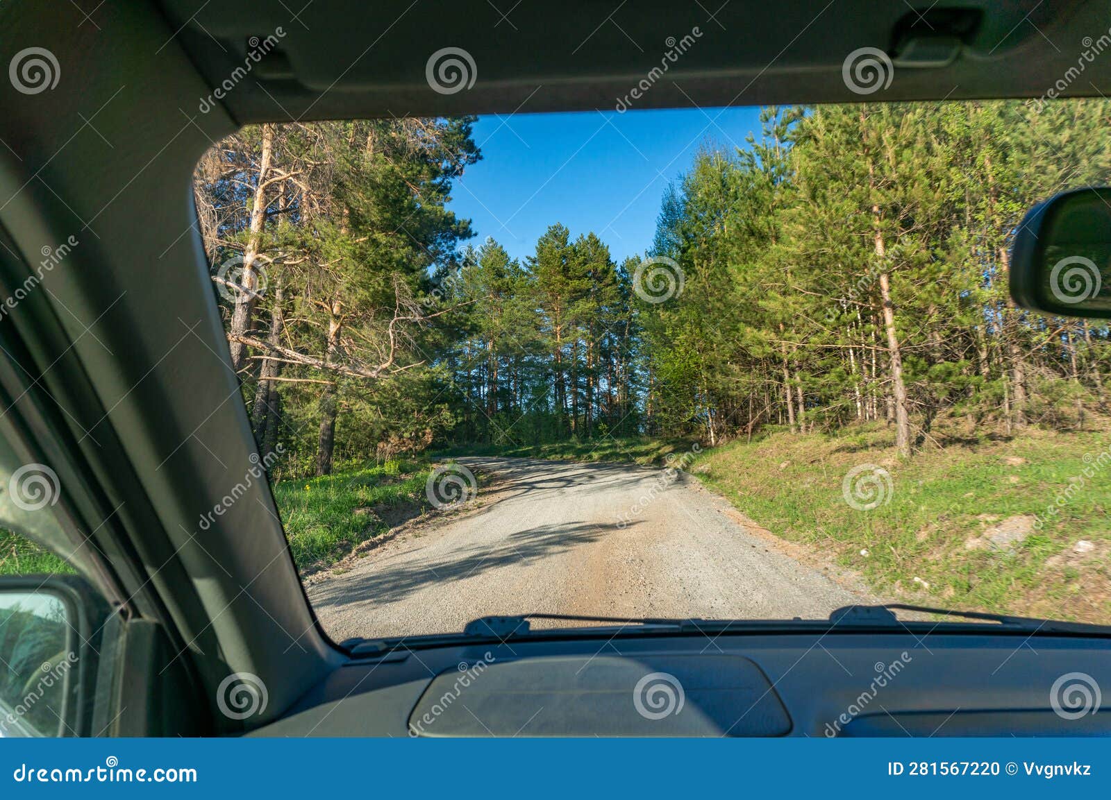 View from the Driver S Seat on the Road in the Forest Stock Photo ...