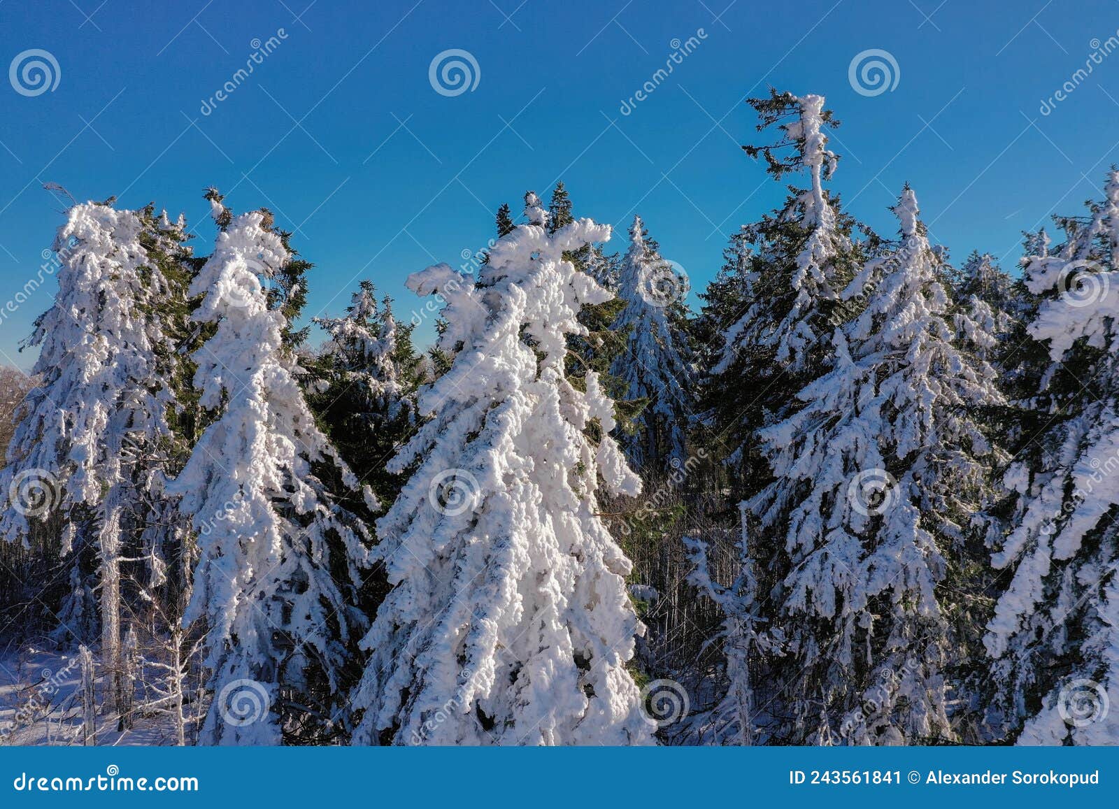 View from a Drone on a Snow-covered Flax in the Mountains Stock Image ...