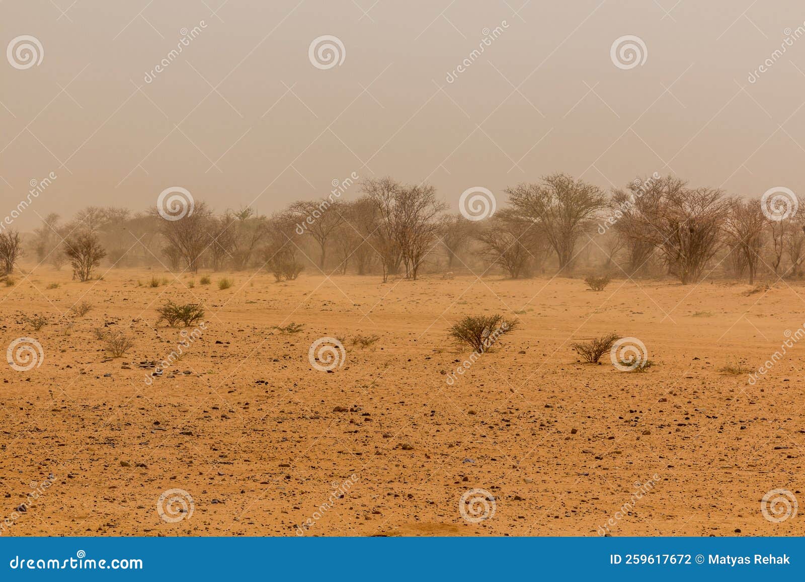 View of a Dry Region Landscape, Sud Stock Photo - Image of outdoor ...